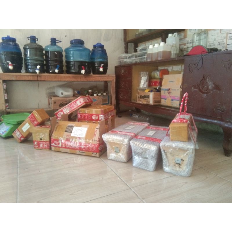 Jual koloni terminata/kelulut/klanceng terminata/trigona terminata ...