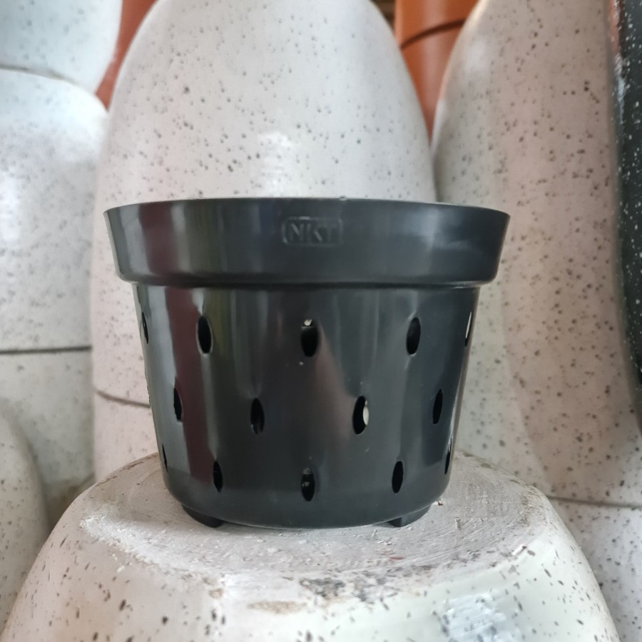 Jual Pot Anggrek / aglonema / propagarasi / Airy pot / Pot Poros 15 NKT ...