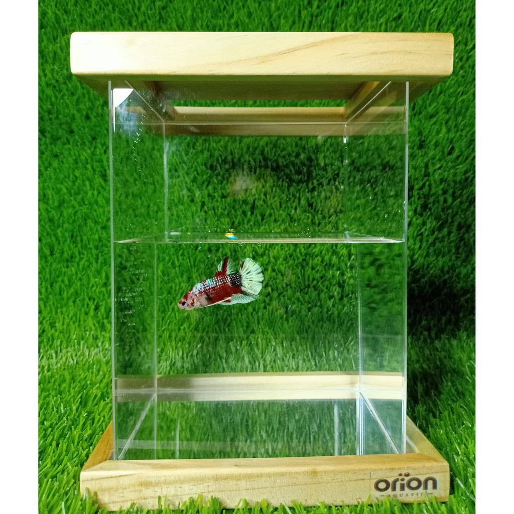 Jual [SIAP KIRIM] Soliter Akrilik Iron Medium High - SOLITER - SOLITER ...