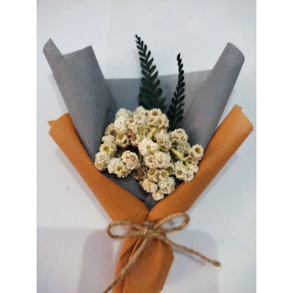 Jual buket mini bunga edelweis 12-14 cm | Shopee Indonesia