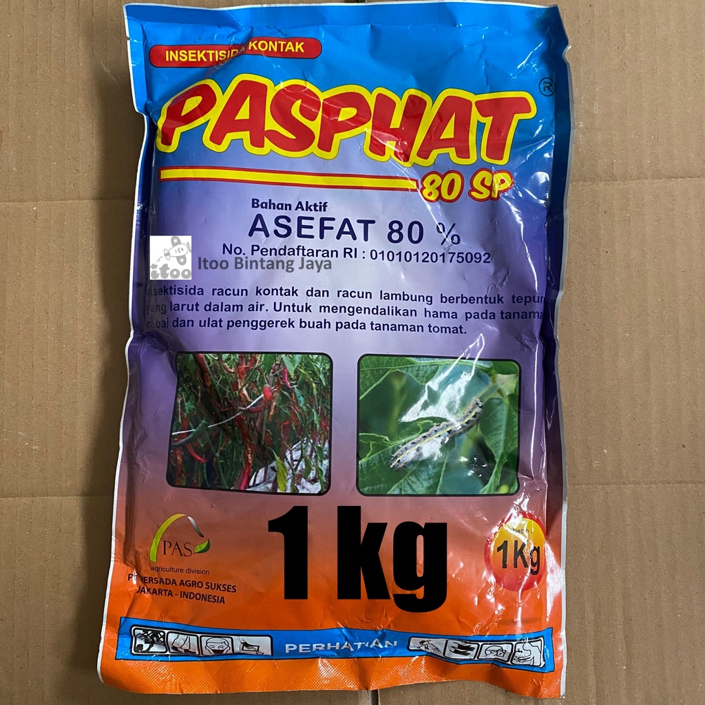 Jual Insektisida Kontak Untuk Ulat PASPHAT Asefat 80WP 1 kg | Shopee ...