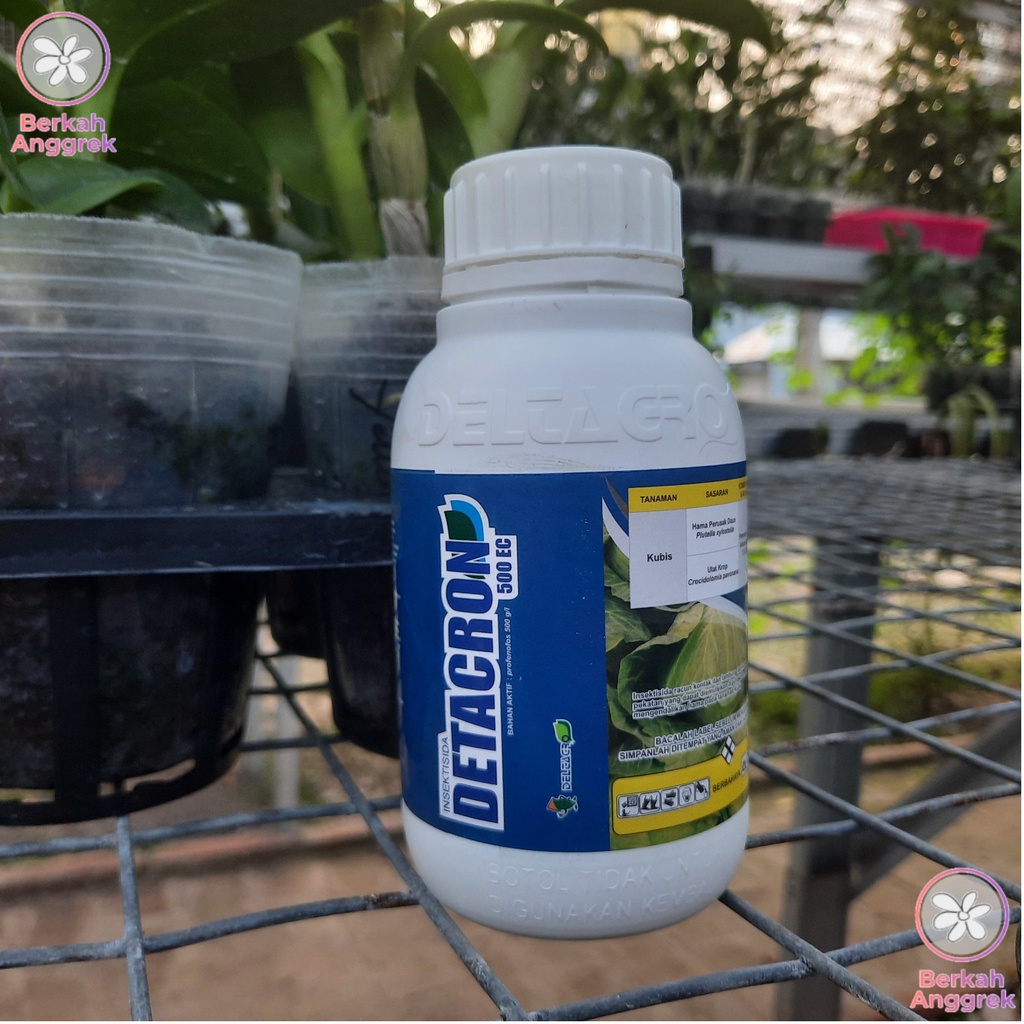 Jual Detacron 250 ml Insektisida Hama Kaper | Shopee Indonesia