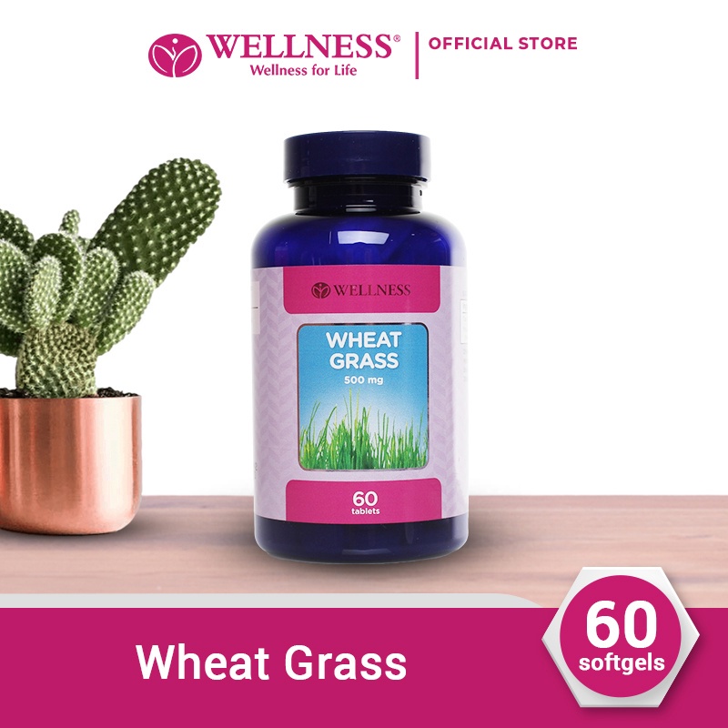 Jual Wellness Wheat Grass 500mg - 60 Tablets | Shopee Indonesia