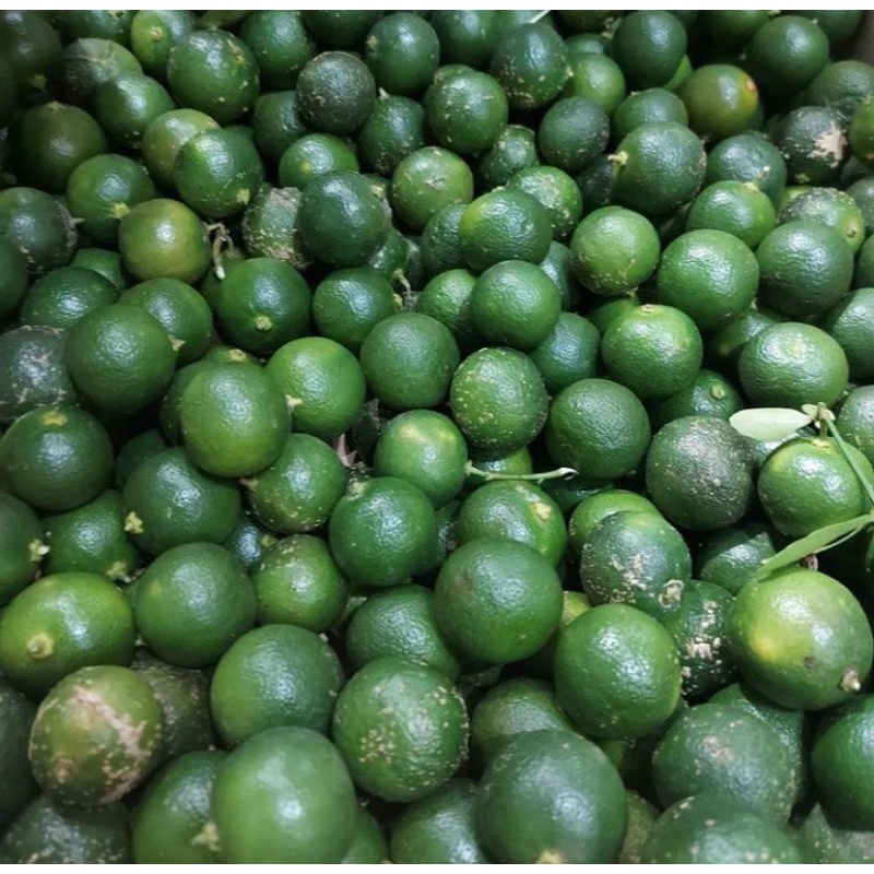 Jual BUAH JERUK SONKIT / JERUK CUI / JERUK KUNCI FRESH | Shopee Indonesia