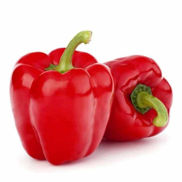 Jual PAPRIKA MERAH (pcs ± 150-200gr) | Shopee Indonesia