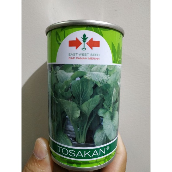 Jual Benih sawi tosakan 100 gram | Shopee Indonesia