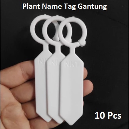 Jual 10 pcs Plant Name Tag Label Tanaman NKT Gantung Tancap | Shopee Indonesia