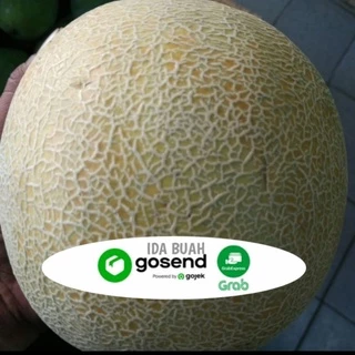 Jual Melon 1 Kg Terlengkap & Harga Terbaru Mei 2024 | Shopee Indonesia