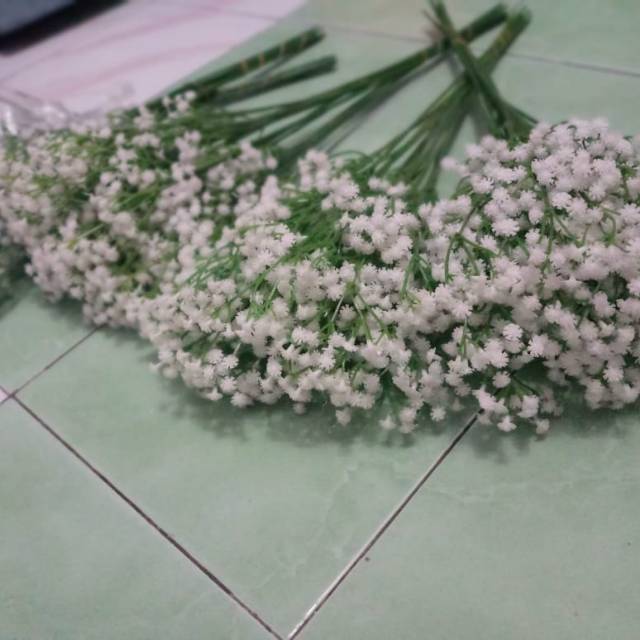 Jual Bunga PIKOK PUTIH ATAU BABYBREAD | Shopee Indonesia