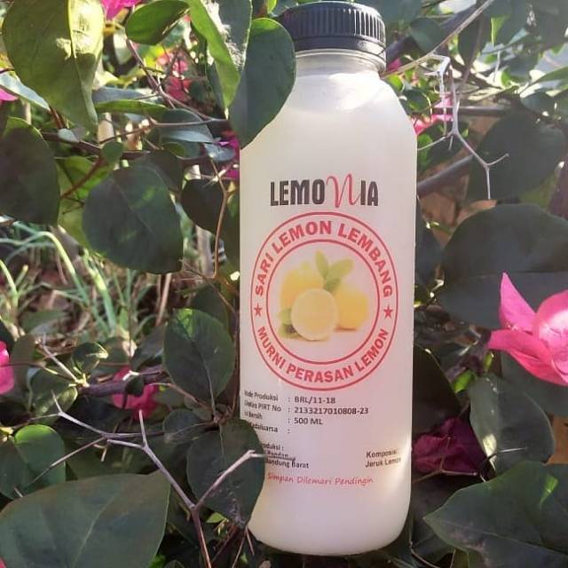 Jual Sari Lemon Lemonia 250 ml | Shopee Indonesia