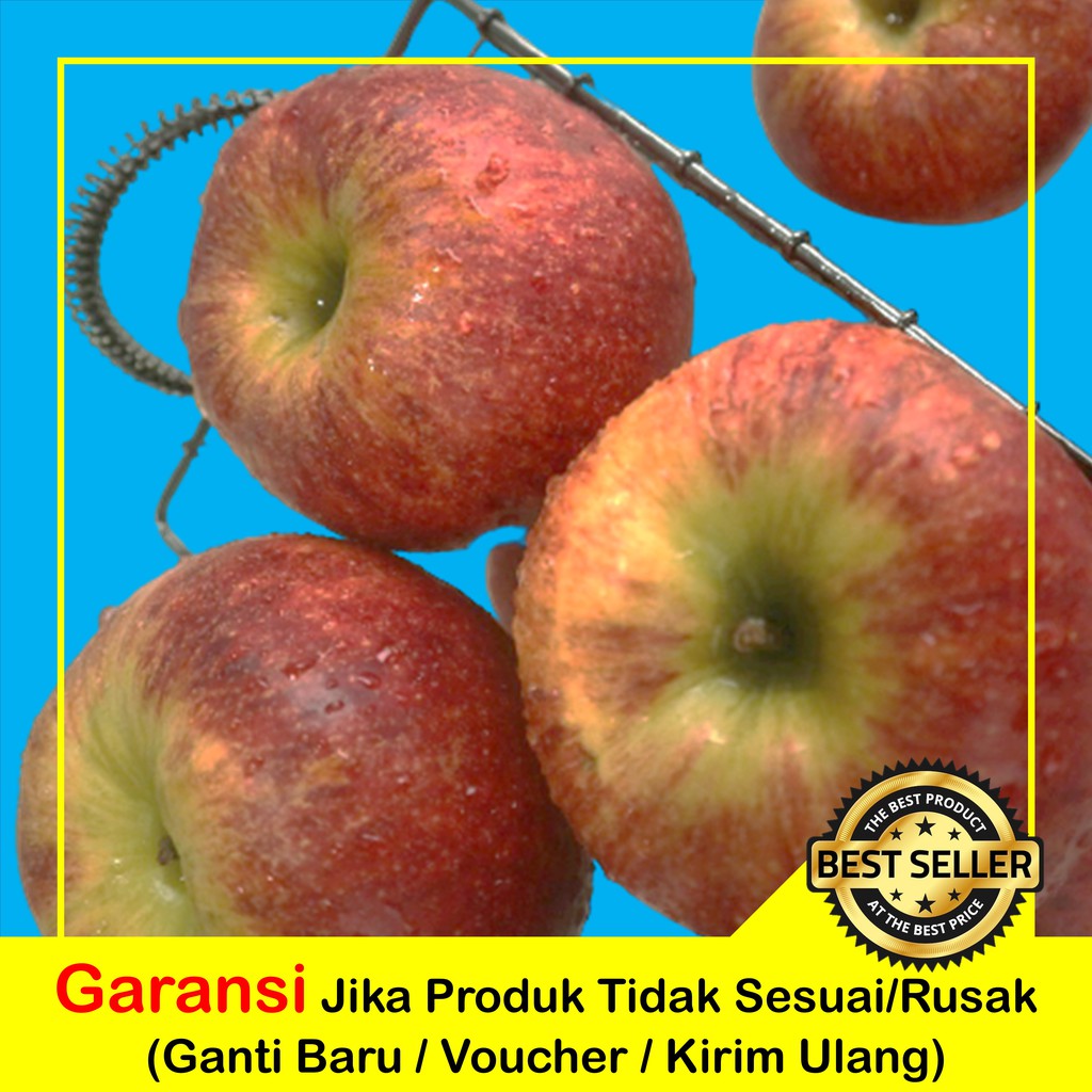 Jual BUAH APEL ENVY SEGAR JUMBO | APEL FRESH SEGAR JUMBO | Shopee Indonesia