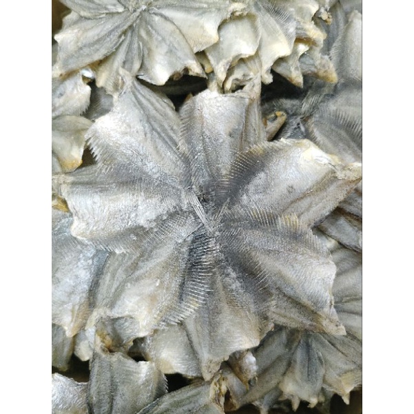 Jual IKAN ASIN SAPAT BINTANG TANPA KEPALA 250gram | Shopee Indonesia