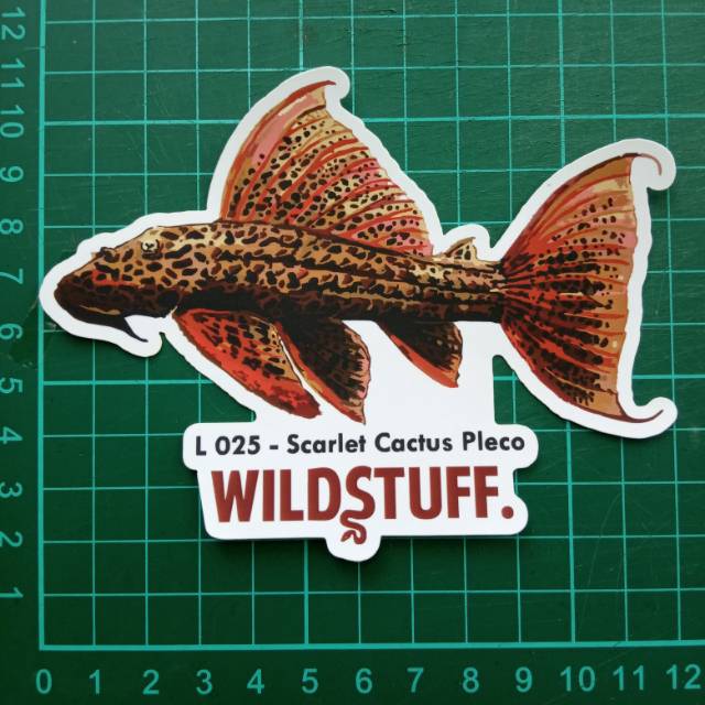 Jual Sticker Wildstuff - Scarlet Pleco L25 | Shopee Indonesia