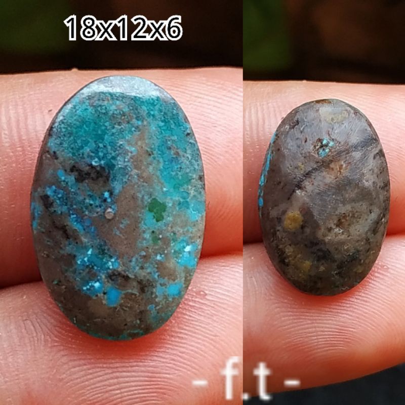 Jual PIRUS PERSIA | Shopee Indonesia