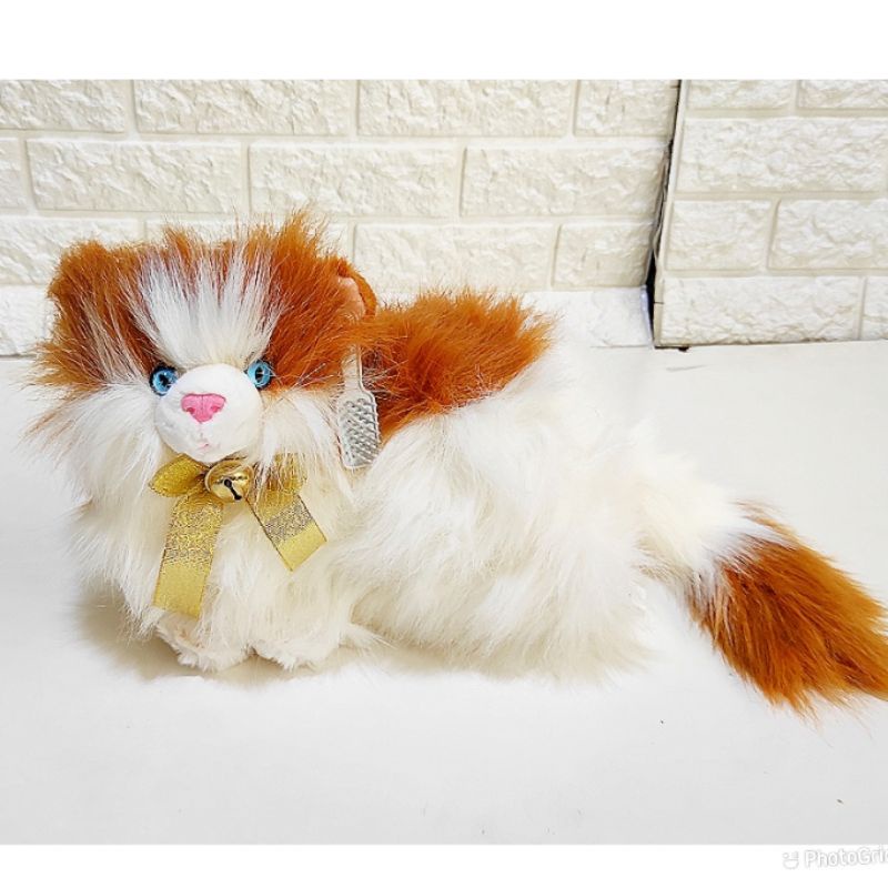 Jual boneka kucing besar | Shopee Indonesia
