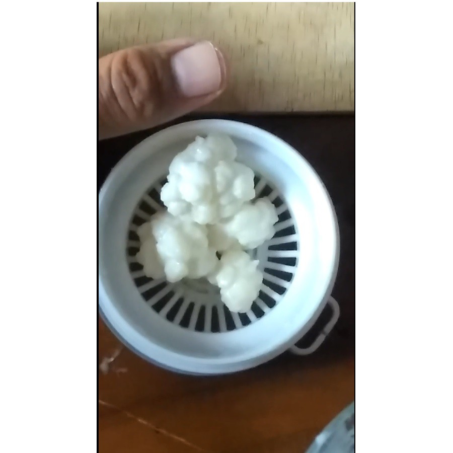 Jual KEFIR JEMBER - BIBIT KEFIR SIZE BESAR PAKET Rp. 4000 PER GR ...