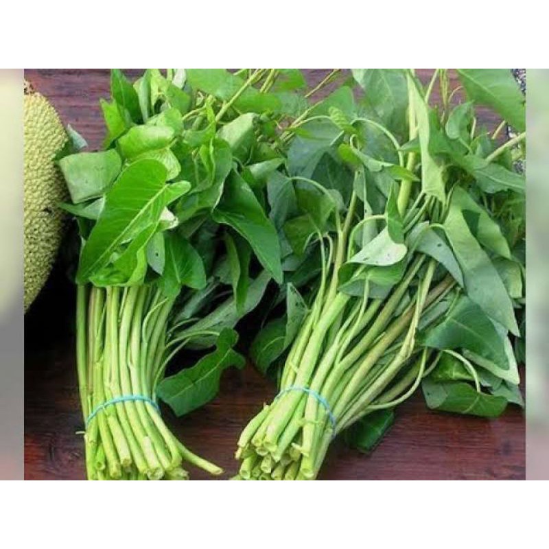 Jual Sayur Kangkung Segar perikat | Shopee Indonesia