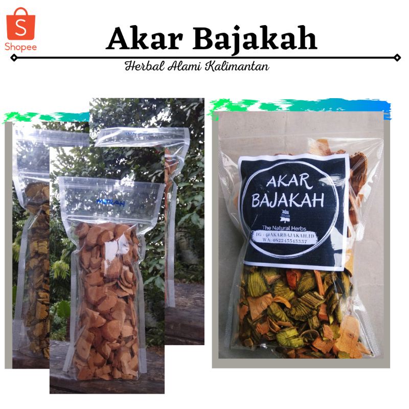 Jual AKAR BAJAKAH VARIAN 1 PAKET & 1 BKS (AKAR BAJAKAH MIX, BAJAKAH ...