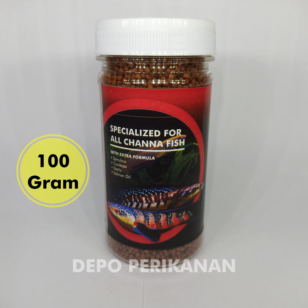 Jual Pakan Channa Merah, Pelet Macro Channa Red 100 Gram | Shopee Indonesia