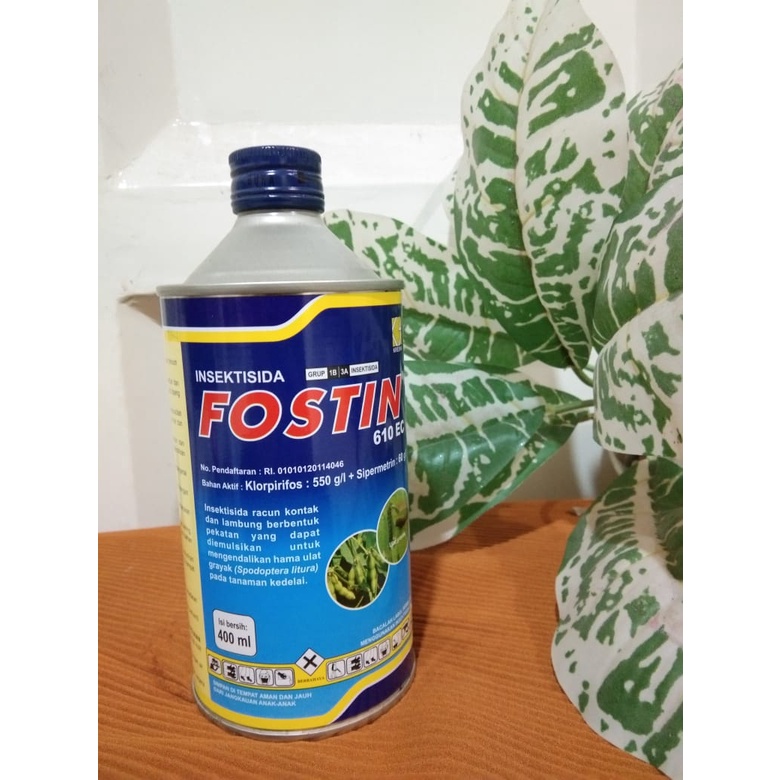 Jual (100% ORIGINAL) FOSTIN OBAT HAMA | Shopee Indonesia