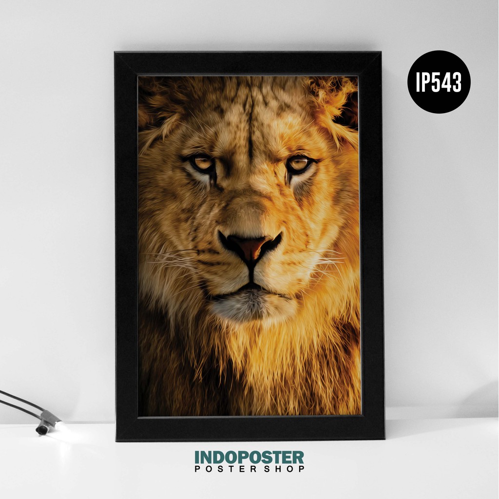 Jual Poster Hewan Singa Lion Brave | Shopee Indonesia