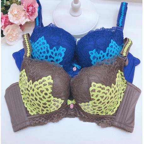 Jual Bra (K-C3) Pakaian dalam wanita dengan kombinasi warna yang ...