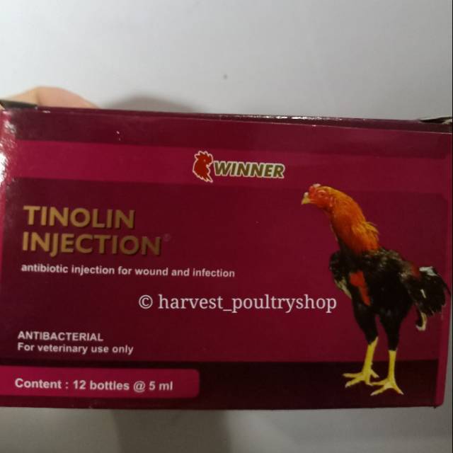 Jual TINOLIN injeksi antibiotik untuk luka dan infeksi (12 botol ...
