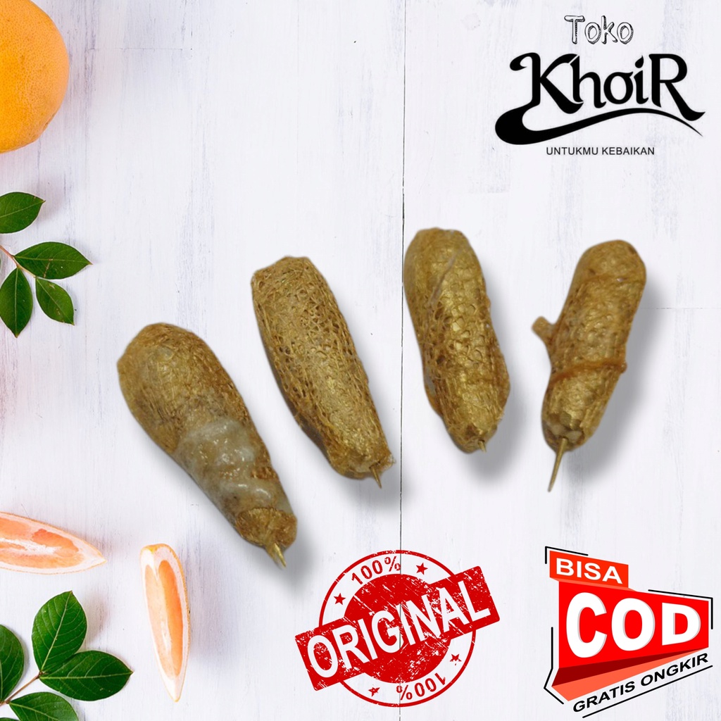 Jual Kepompong besi kuning jarum emas accesoris | Shopee Indonesia