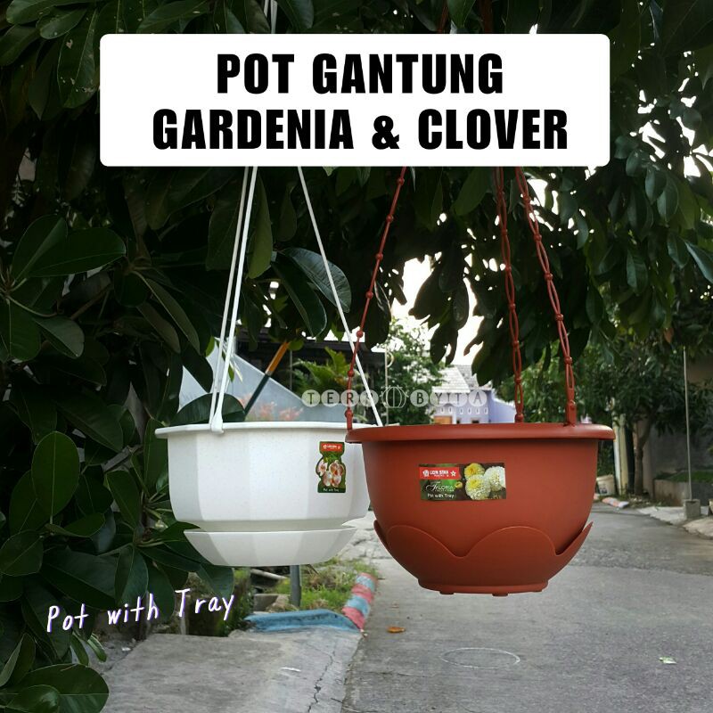 Jual Terrabyta - Pot Gantung Lion Star Floria Gardenia Clover - Pot ...