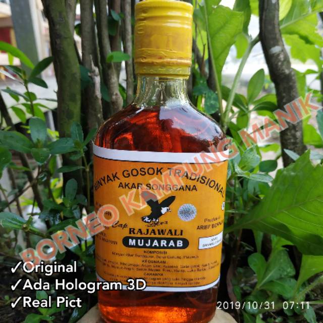 Jual Minyak Gosok Tradisional Akar Songgana cap rajawali - minyak urut ...