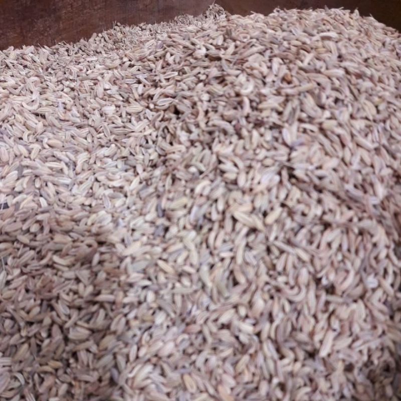Jual Adas Manis / Fennel Seed 500 gr | Shopee Indonesia