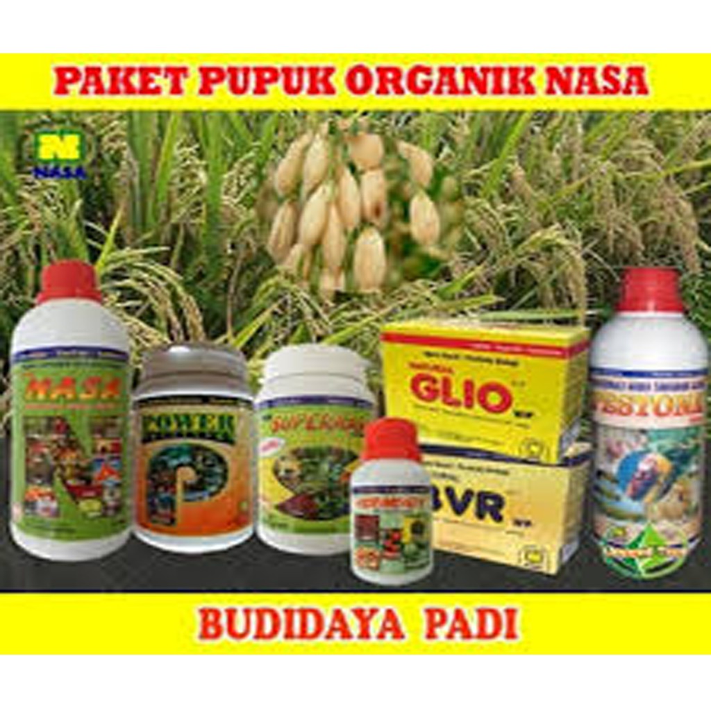 Jual Paket Pupuk Budidaya Padi Organik Nasa | Shopee Indonesia