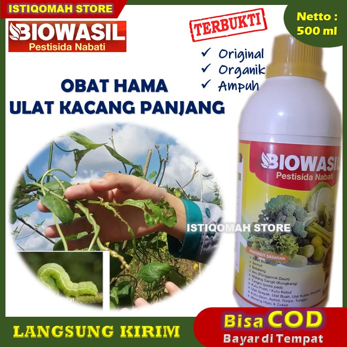 Jual BIOWASIL 500ml Pestisida Nabati Obat Hama Penyakit Ulat pada Buah ...