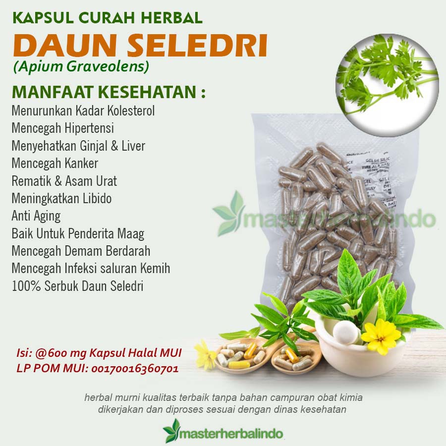 Jual DAUN SELEDRI Kapsul Curah Herbal 200x600mg Hipertensi Rematik Anti ...