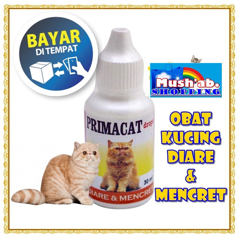 Jual Obat Kucing Obat Anak Kucing Sakit Diare Mencret Berair Infeksi ...