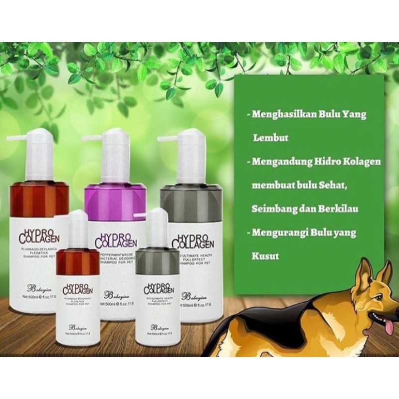 Jual Shampoo Anjing - Hydro Collagen Dog Shampoo 500ml - Dog Shampoo ...