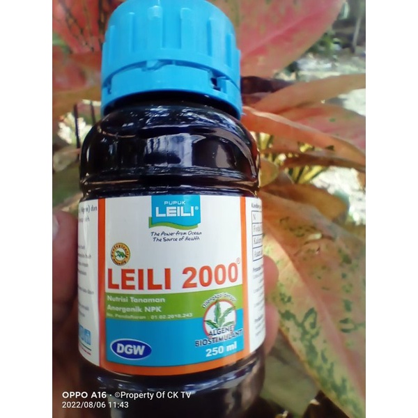 Jual Leili 2000 Pupuk Cair+ZPT 250 ML | Shopee Indonesia