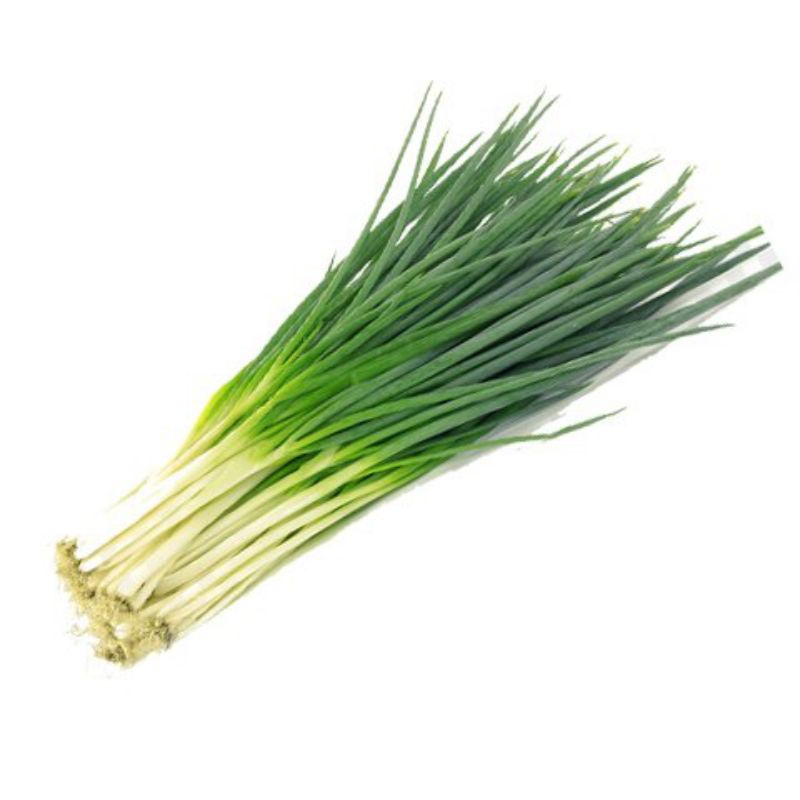 Jual Loncang Daun Bawang 100 gr - Sayuran Jogja | Shopee Indonesia