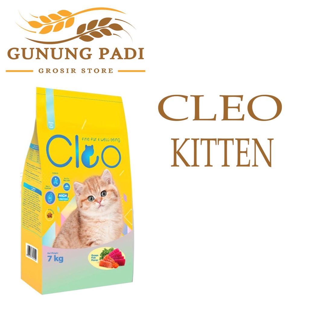 Jual Cleo Kitten 7k (Ekspedisi) | Shopee Indonesia
