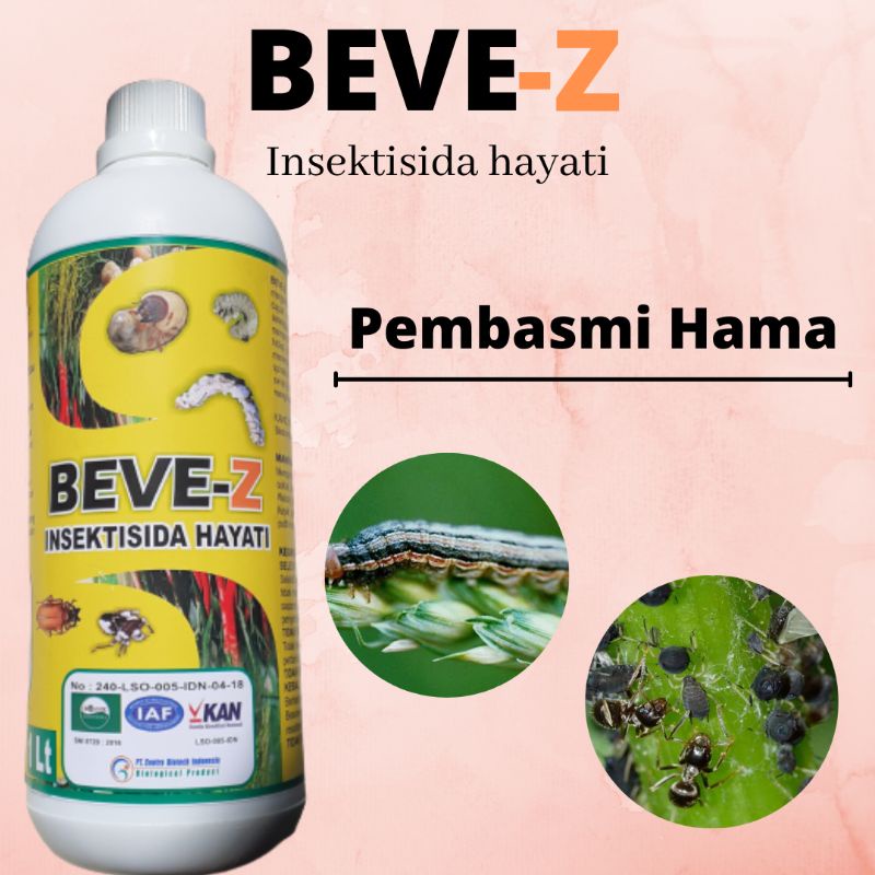 Jual Insektisida Beve Z Cair Untuk Semut Hitam, Insektisida Untuk Semut ...