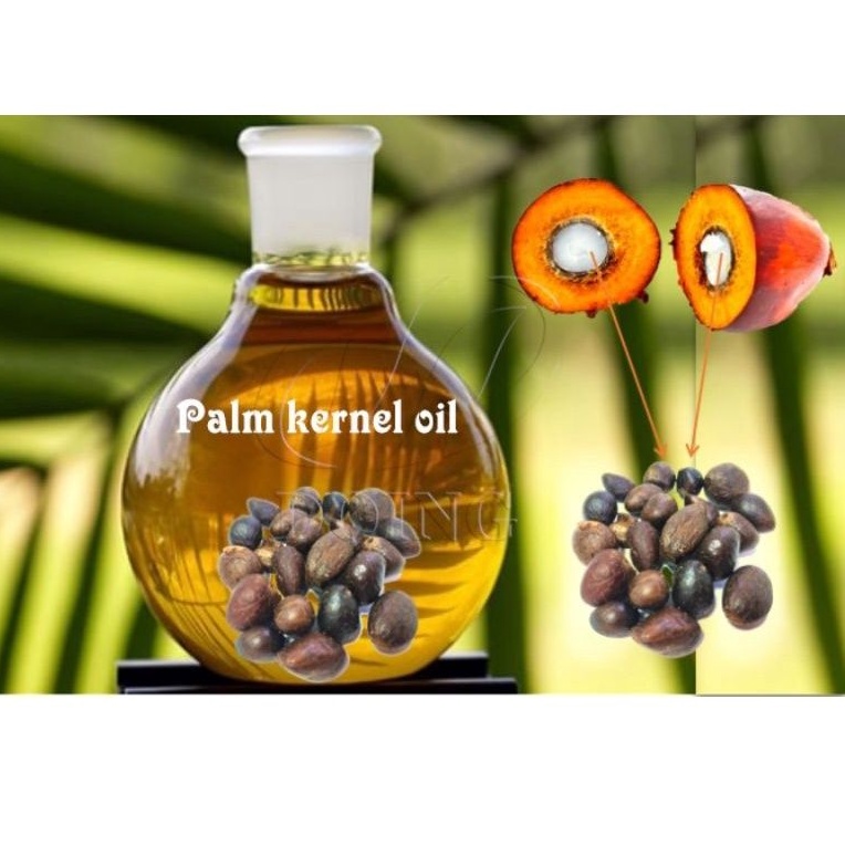 Jual Palm kernel oil / Minyak inti sawit / Crude palm kenel oil 1 liter ...