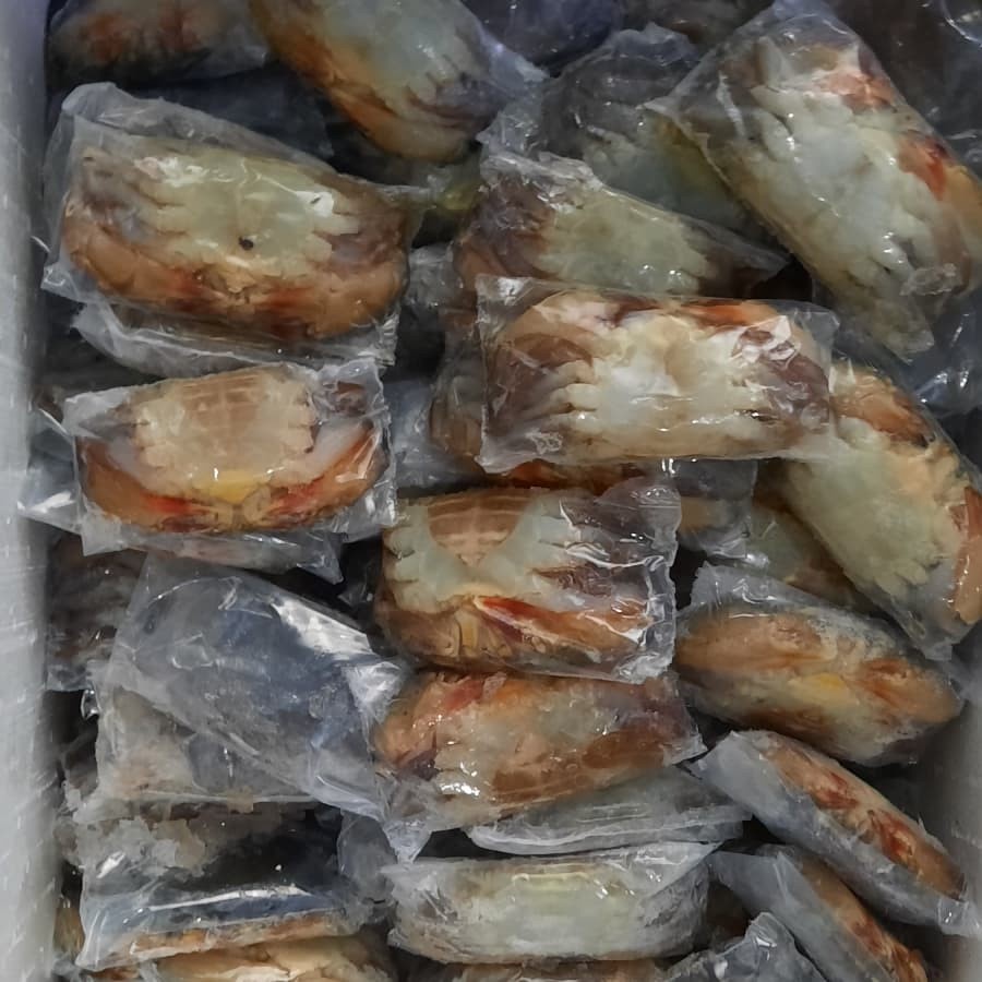 Jual KEPITING SOKA FROZEN / SOFT SHELL CRAB PER 1 KG | Shopee Indonesia