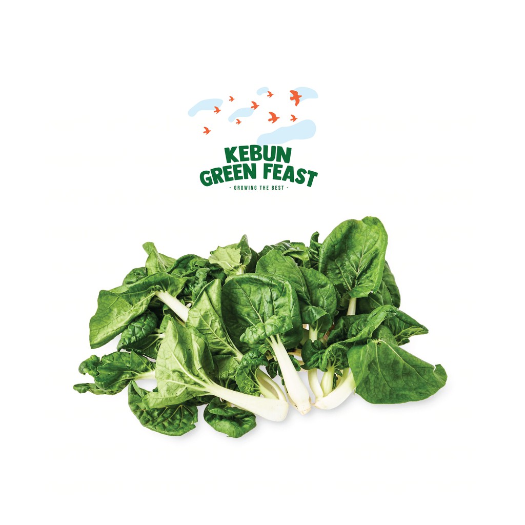 Jual Baby Naibai Hydroponic - Sawi Mini Sayuran Sayur Segar | Shopee ...
