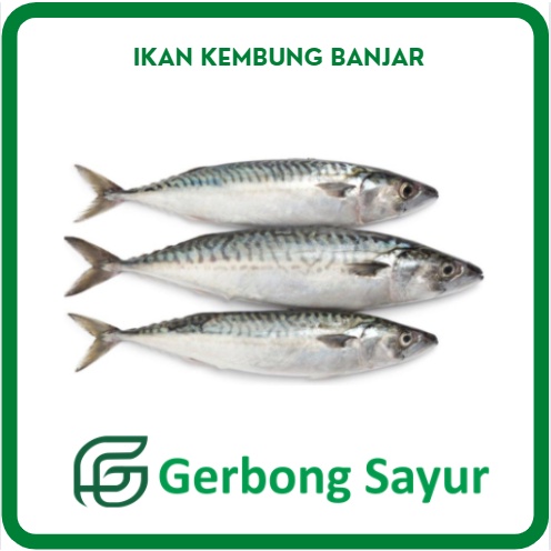 Jual Ikan Kembung Banjar Segar - 1 Kg | Shopee Indonesia