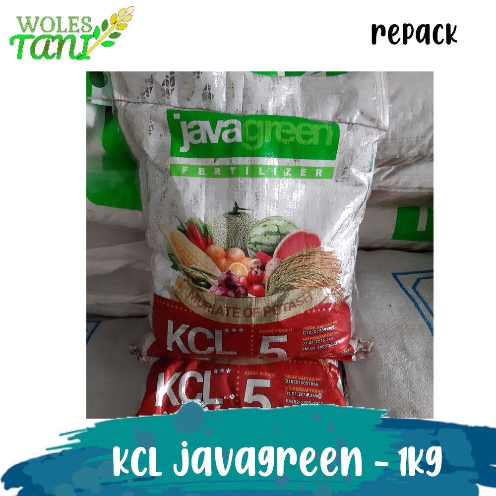 Jual KCL Javagreen 1 Kg KCL 60 Persen | Shopee Indonesia