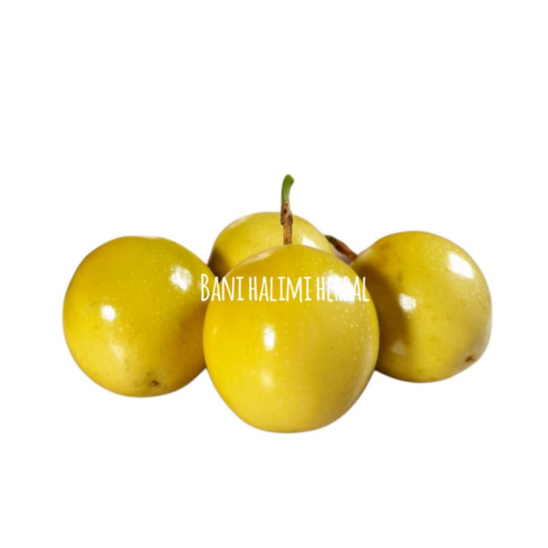 Jual Buah Markisa Segar Kuning 1 Kg | Shopee Indonesia