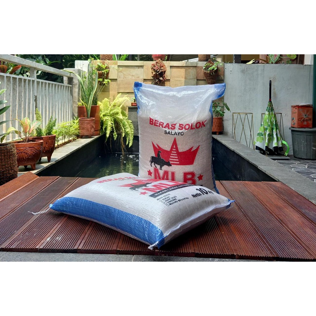 Jual Anak Daro, Beras Solok 10 Kg | Shopee Indonesia