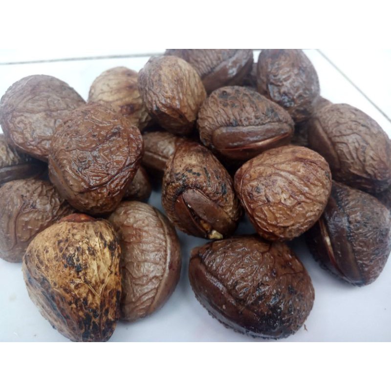Jual buah picung atau kluwek 500gr | Shopee Indonesia