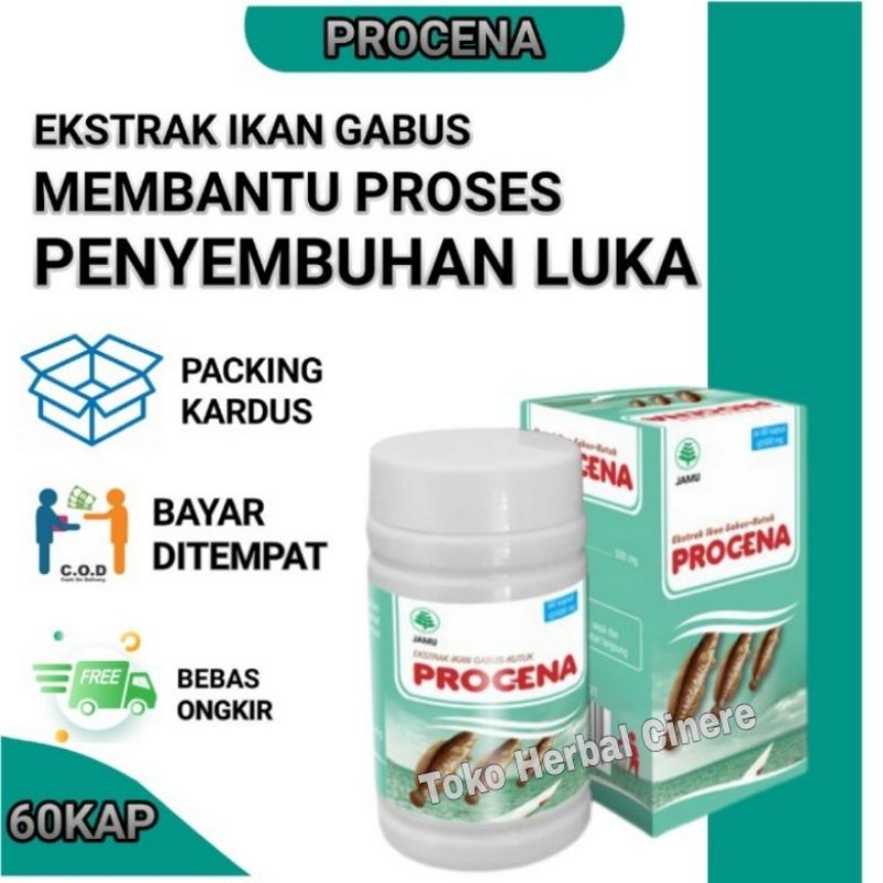 Jual PROCENA EKSTRAK IKAN GABUS 60 KAPSUL | Shopee Indonesia