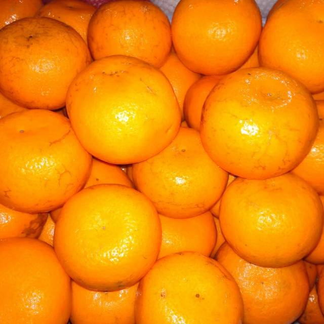 Jual Jeruk sunkist/mandarin | Shopee Indonesia